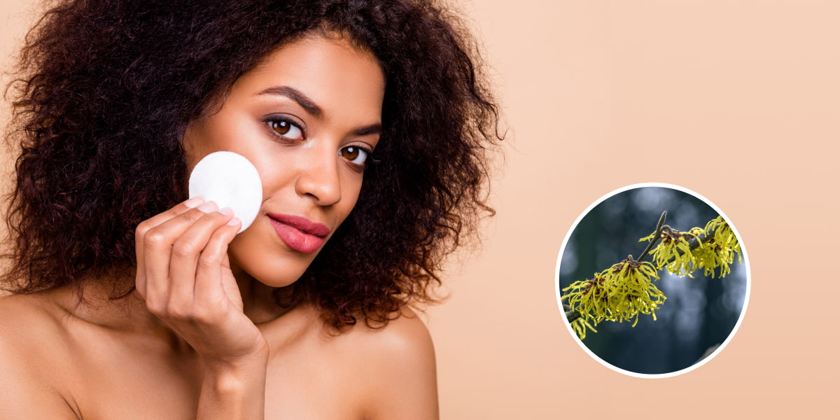 Witch Hazel Benefits For Face: What Need To Know